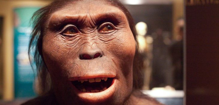 Científicos revelan la causa de muerte más “probable” de la famosa ...