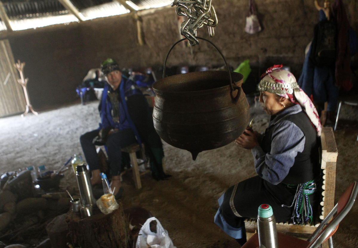 Inauguran la primera ruka mapuche medicinal en el Parque O´Higgins ...
