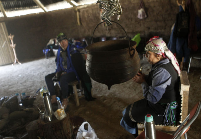 Inauguran la primera ruka mapuche medicinal en el Parque O´Higgins ...
