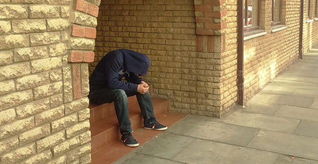 ¿Por qué son los veterinarios los profesionales con la tasa de ...