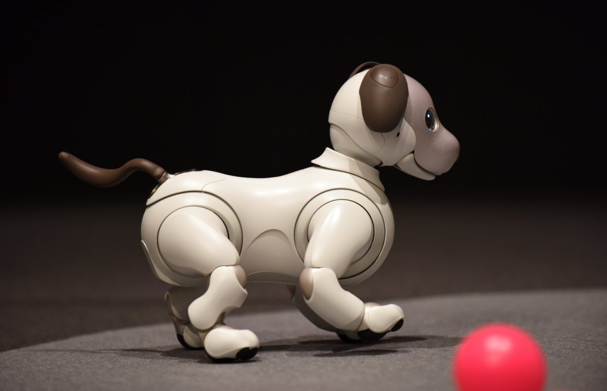 Sony presentó la nueva versión del perro robot Aibo | Ciencia y Tecnología | BioBioChile