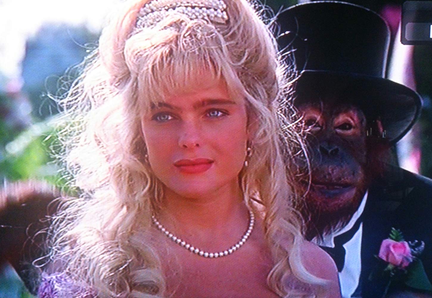 Reparto De La Pelicula Beverly Hillbillies Recuerdas A Los Beverly