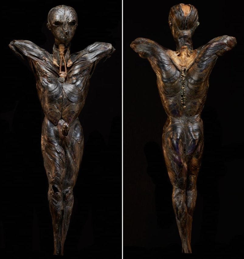 Gillian Genser: la artista que sin querer terminó envenenada por su ...