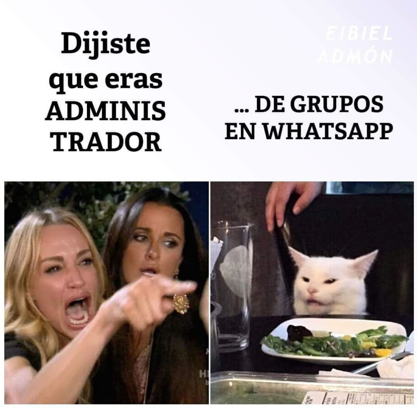 Así nació el "meme del gato" que se ha tomado las redes sociales ...