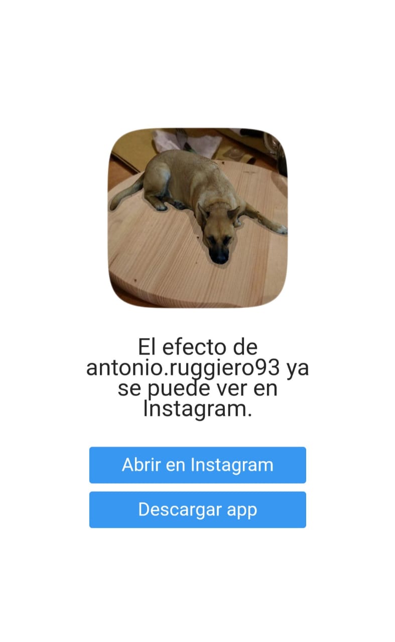 Cómo conseguir el viralizado filtro de perro: se volvió la broma del ...