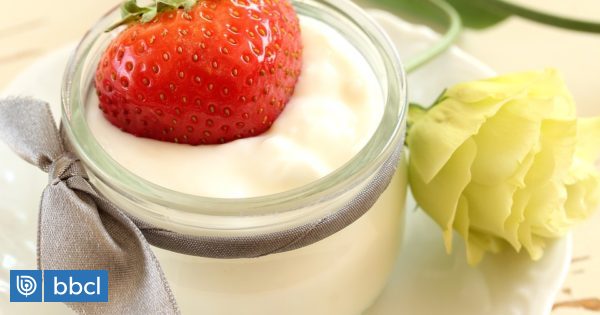 Exportación de yogurt chileno saca cuentas alegres: EEUU es el ...