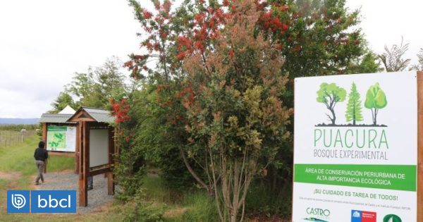 Primer Bosque Experimental para fortalecer la educación sustentable ...