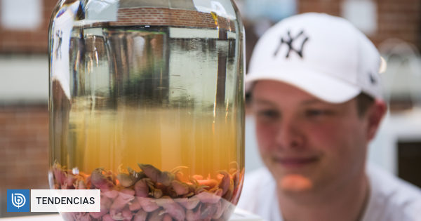 Vino de excrementos y vodka con escorpión en una exposición de ...