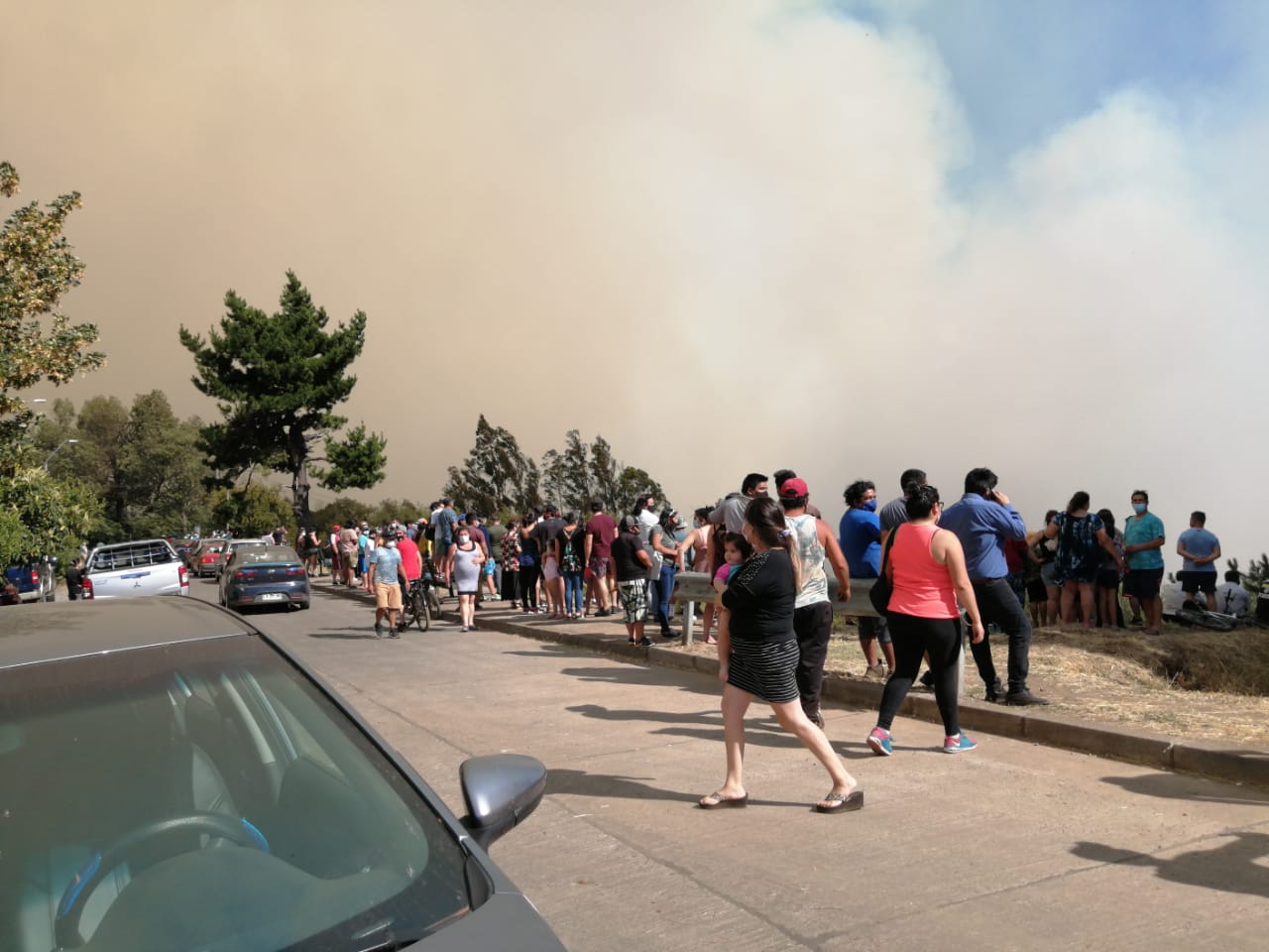 Evacúan sector Las Toscas por incendio forestal: declaran Alerta Roja ...