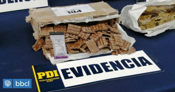 Detienen a los "choconarcos" con 557 kilos de droga: traían chocolate ...