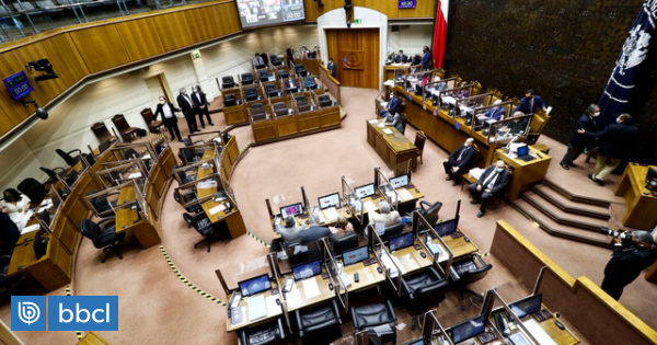 ¿qué Temas Debería Contener La Nueva Constitución Especial Biobiochile
