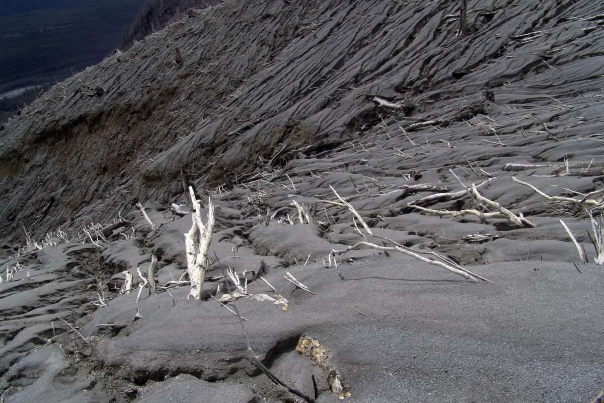 Sorprendente: así se ve el bosque destruido por la erupción del volcán ...