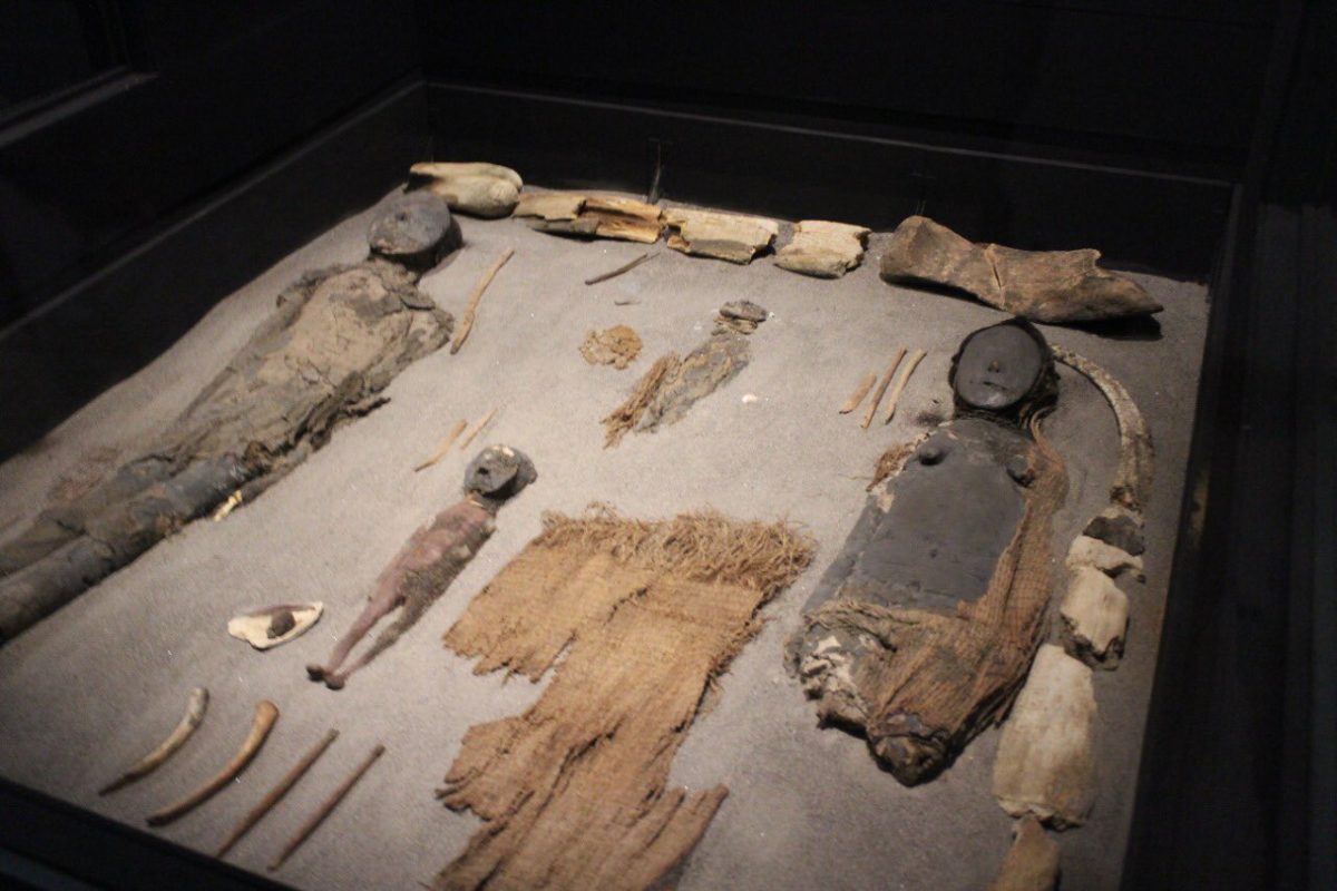 Momias Chinchorro son declaradas Patrimonio Mundial por la Unesco ...