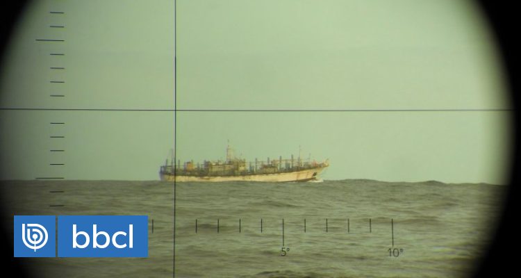 Flota China Se Acerca A Galápagos Podría Ser Tan Grande Como La Que