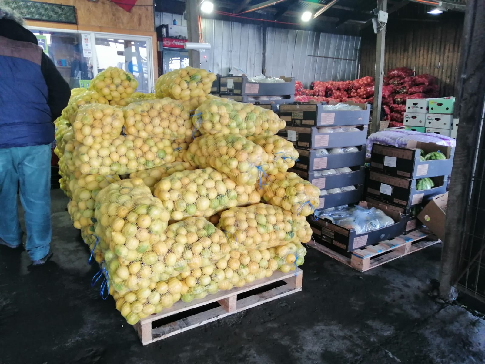 Precios de frutas y verduras suben hasta un 90% en Osorno: tomates y ...