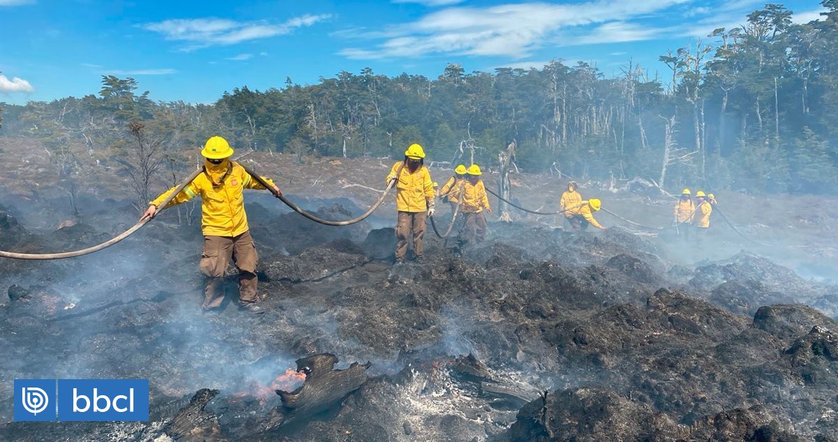 Incontrolable incendio de Timaukel ya quema turberas y lleva 600 ...