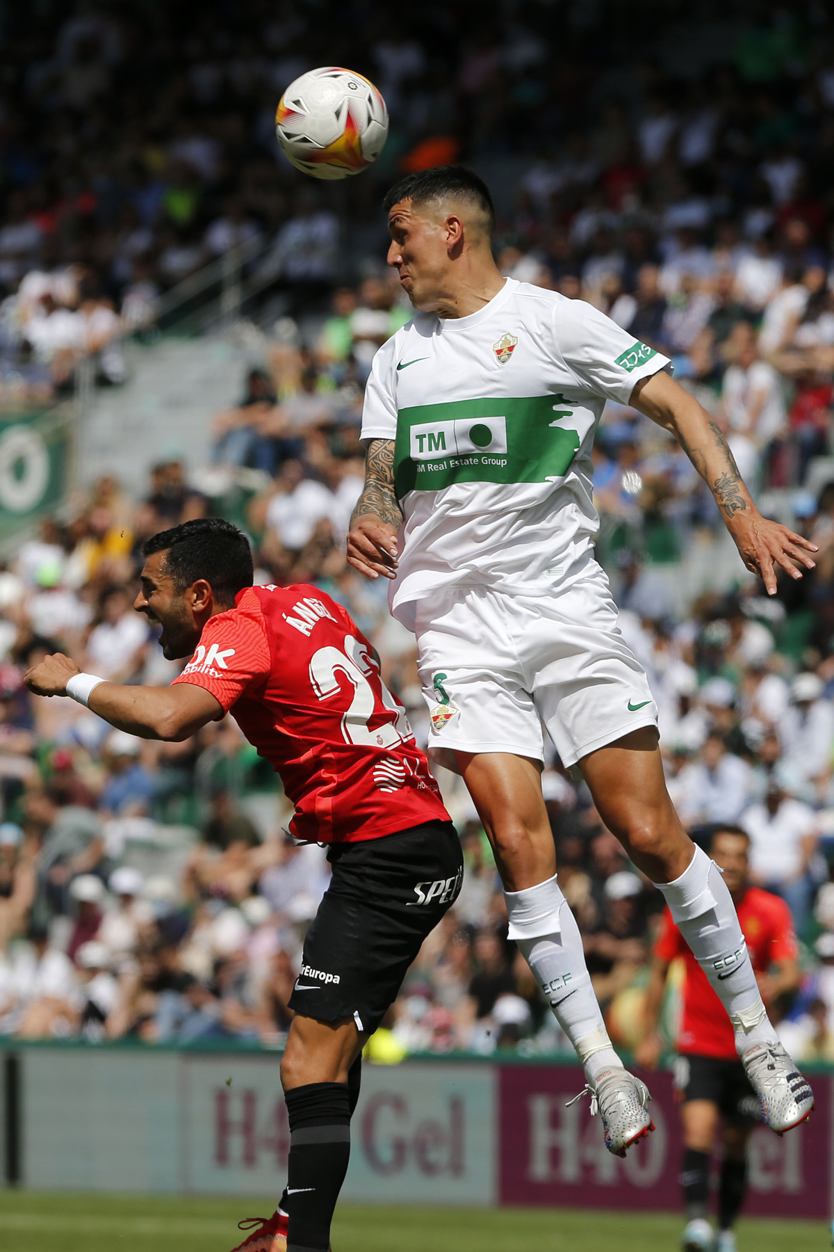 Elche venció a Mallorca con presencia todo el partido de Enzo Roco