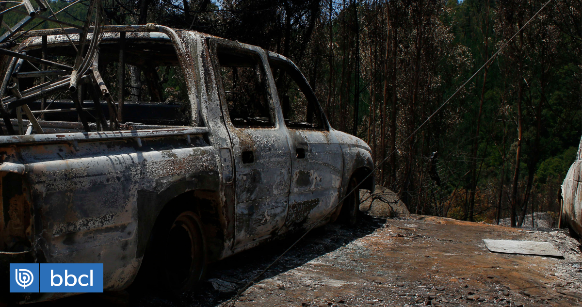 Coordinadora Arauco Malleco se adjudica nuevo ataque incendiario en ...