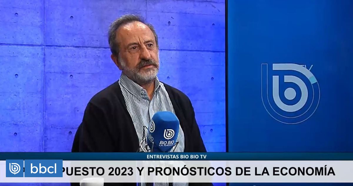 Economista Guillermo Pattillo: "El gasto público de Chile no va a hacer ...