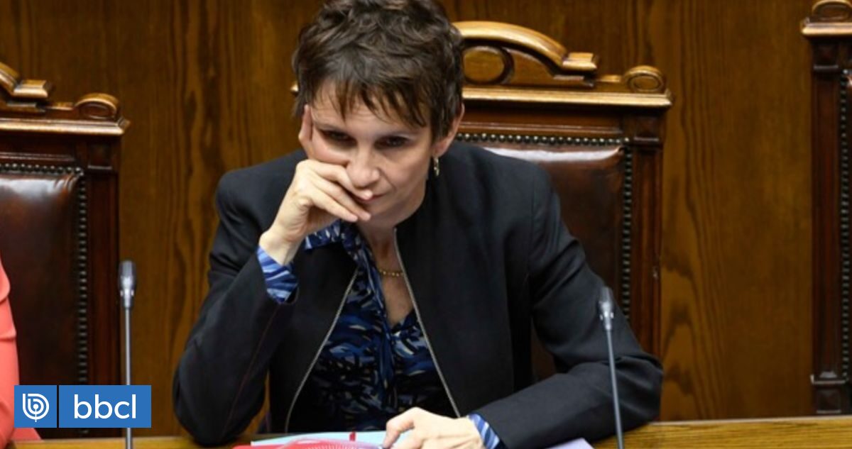 Ministra Tohá: "Que un policía dispare a un criminal no es violar los ...