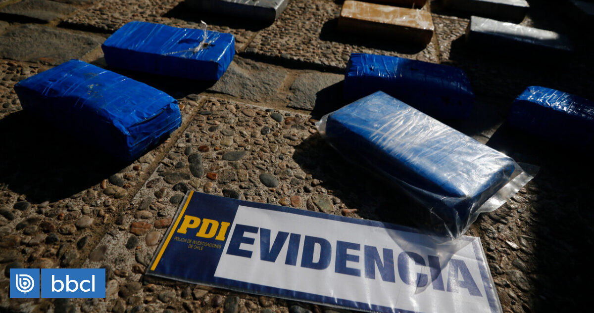 "Operación Tumbados" en La Araucanía deja 7 detenidos y más de 14 mil dosis de droga incautadas ...