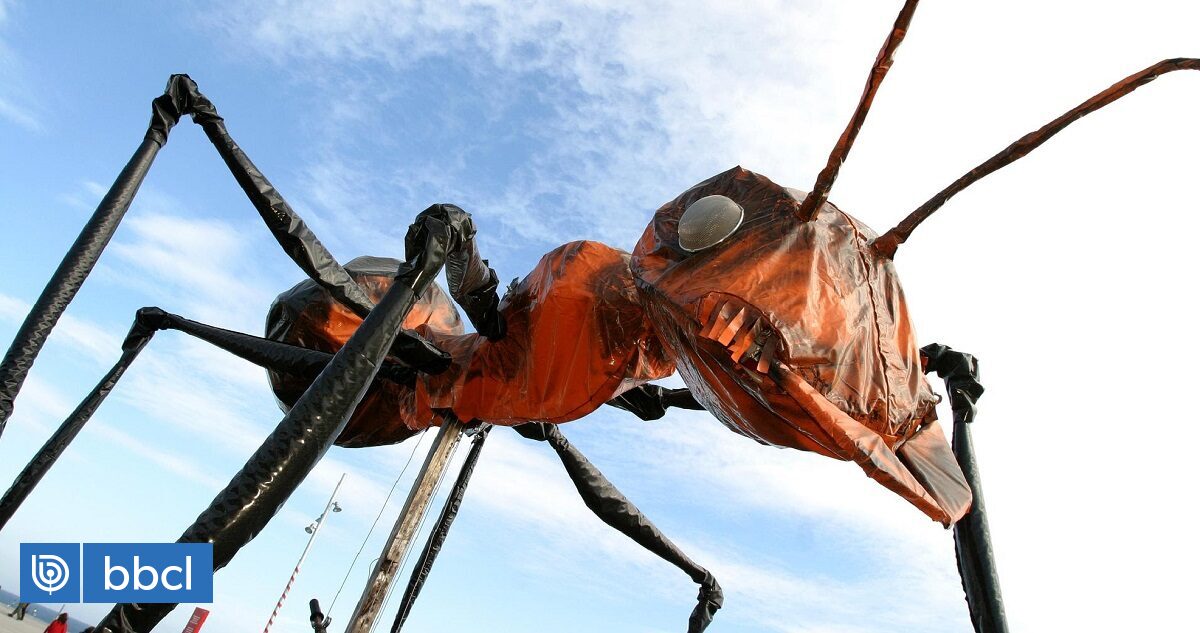 10 años de LAB Escénico: talleres, conversatorios, homenaje a Guillermo ...
