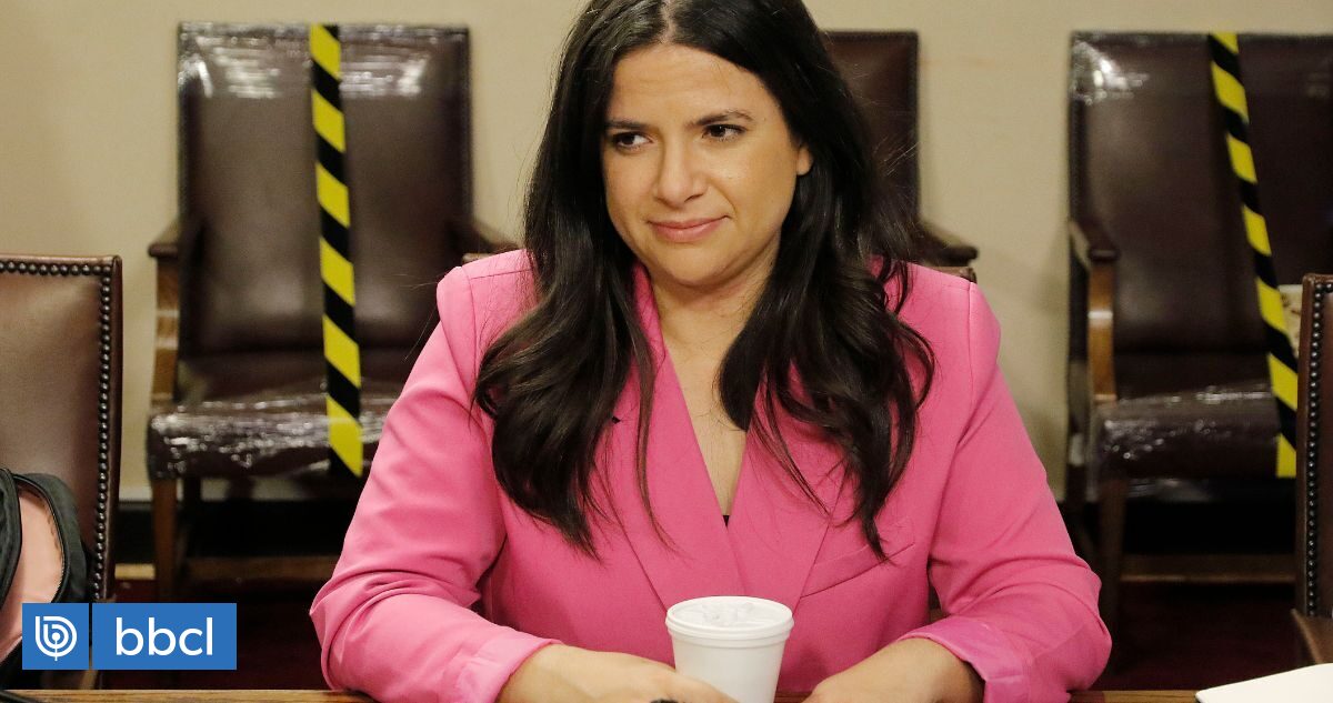 Ministra Antonia Orellana: "Se podrá perseguir judicialmente a quien ...