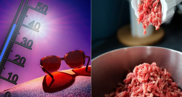 Altas temperaturas y su efecto en los alimentos | Opinión | BioBioChile