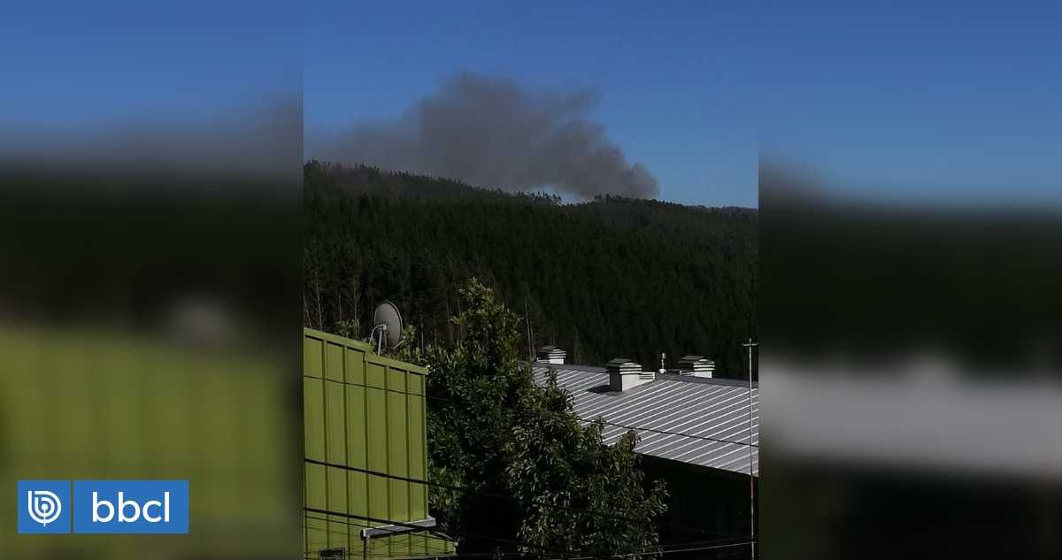 Declaran Alerta Roja para la comuna de Penco por incendio forestal ...