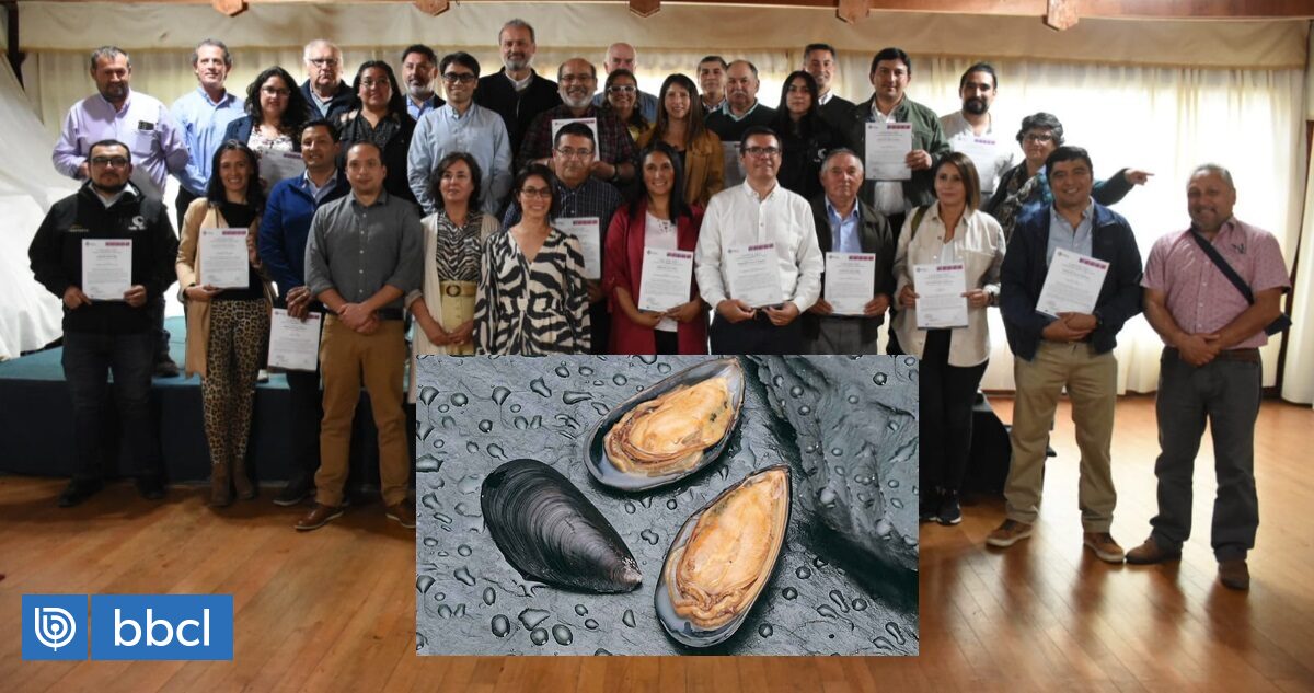 Sustentabilidad: Corfo certifica a 31 empresas de industria del ...