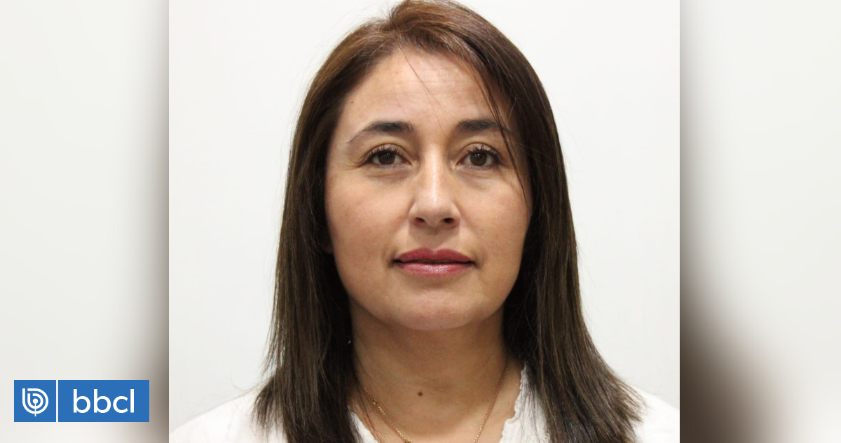 Designan a nueva seremi de Energía en Los Ríos: en 2016 fue denunciada por presunto ...