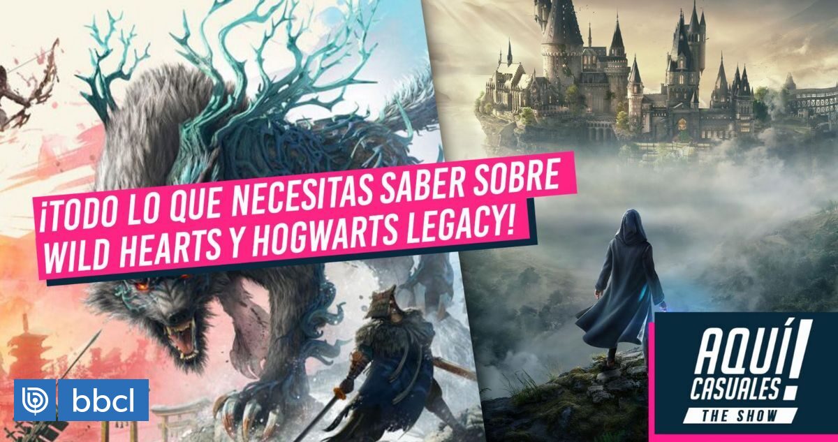 ¡Todo lo que necesitas saber sobre Wild hearts y Hogwarts Legacy! | aqui-casuales-the-show ...