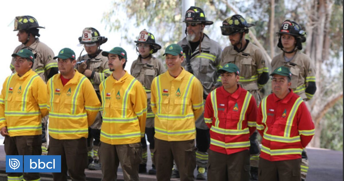 Hoy se conmemora el Día del Brigadista: "Se integran a la labor para ...