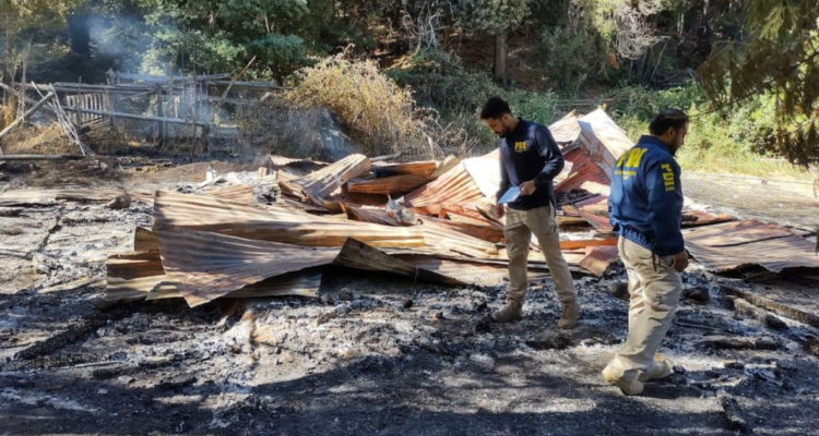 Atentado incendiario afecta a Reserva Nacional Malleco en Collipulli ...