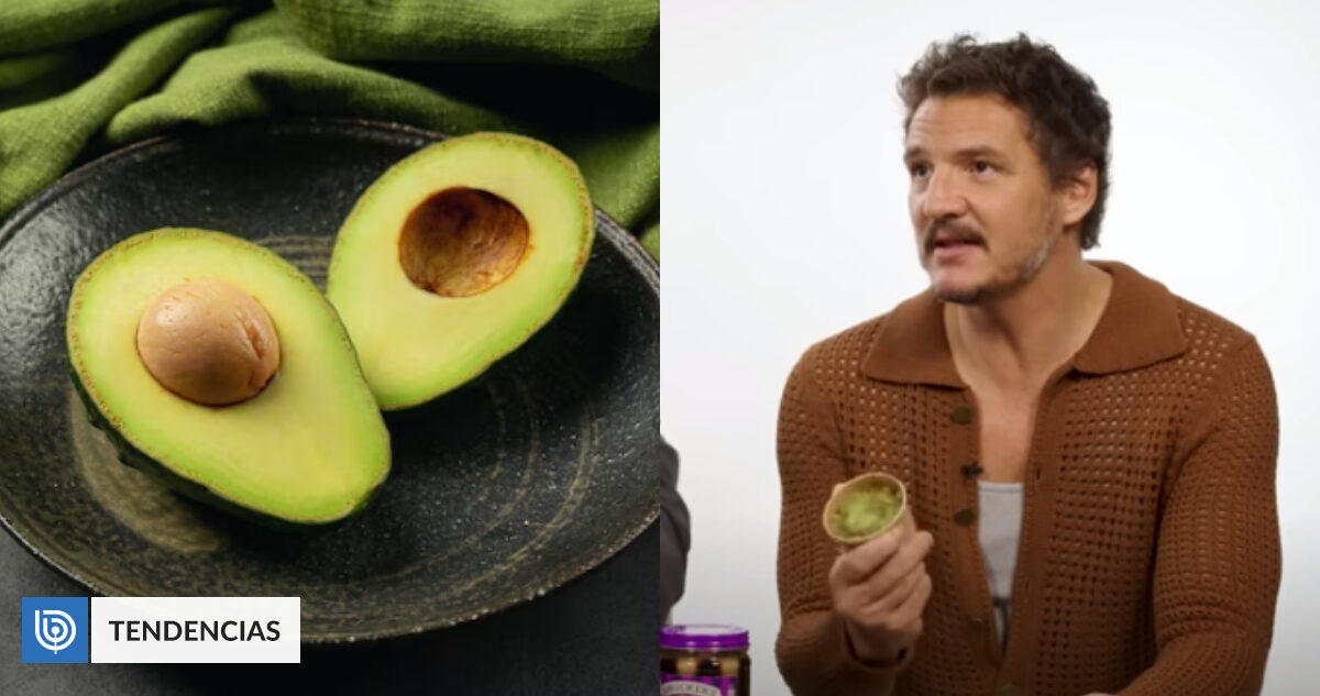 ¿Es palta o aguacate? RAE reaviva el debate en internet respecto al nombre de este fruto ...