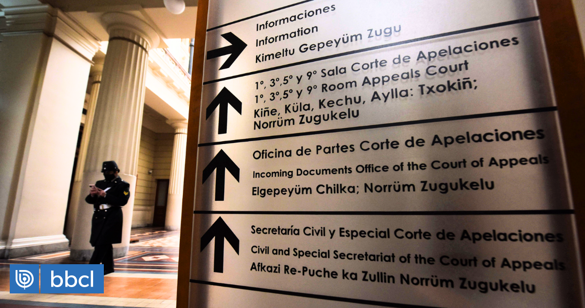 Sumario por atrasos en caso SQM ya tiene fiscal y se acotan a cuatro ...