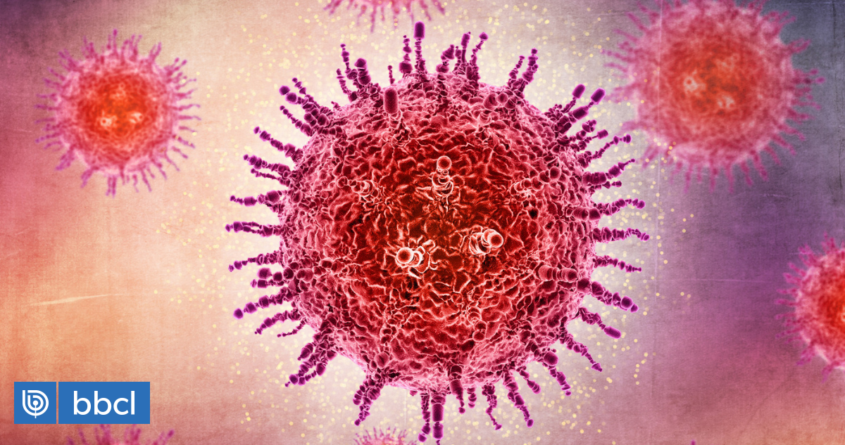 Acturus: la nueva subvariante de Ómicron detectada por la OMS que sería ...