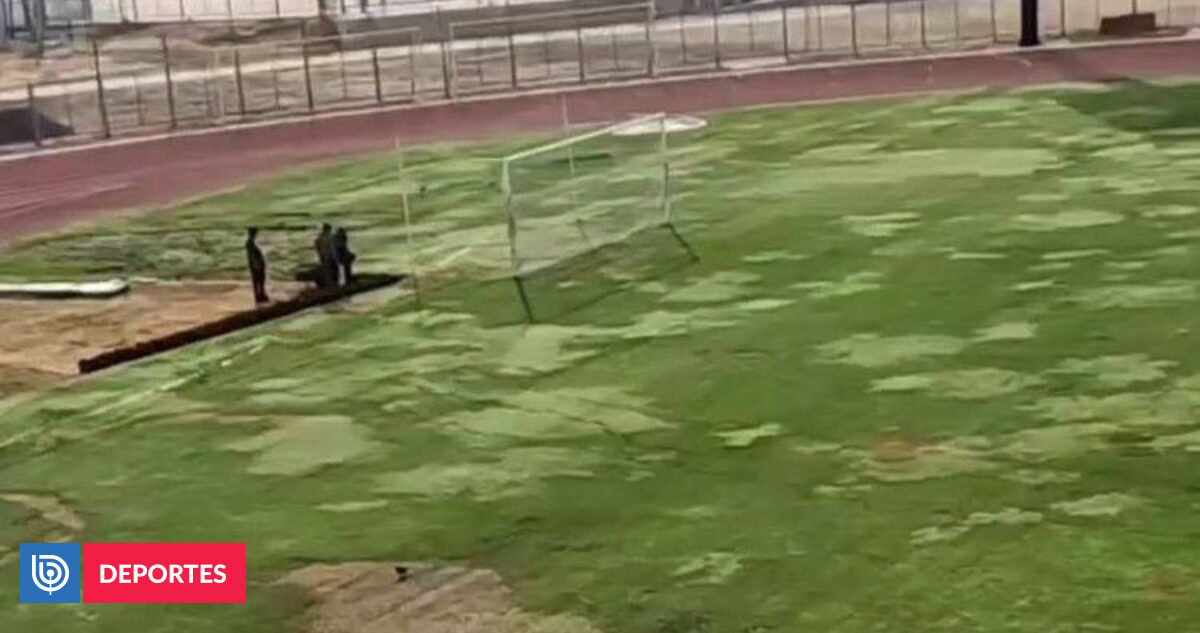 "Lo que nos espera": revelan pésimo estado de la cancha de Curicó a ...