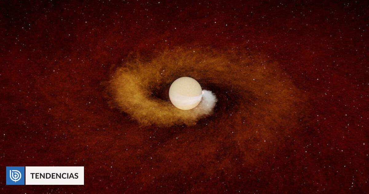 "Atrapada en el acto": Documentan la primera observación de una ...