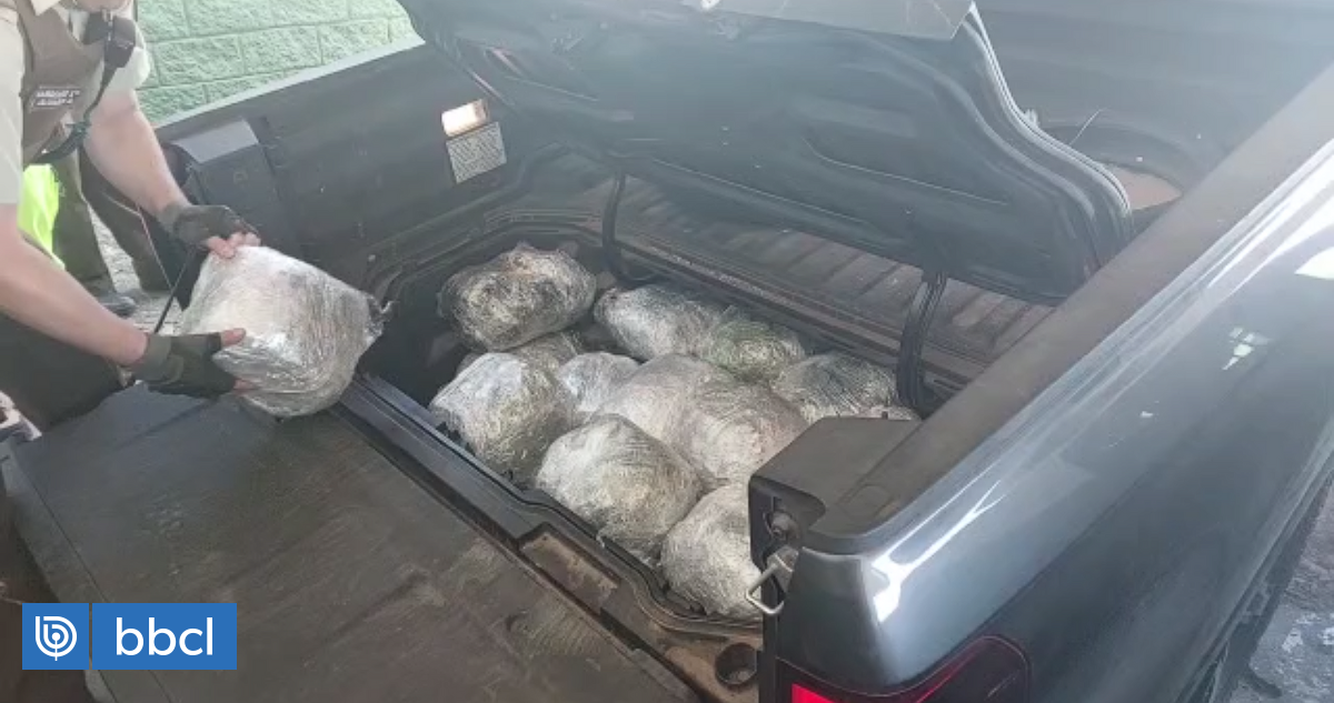 Carabineros incauta 76 kilos de marihuana tras fiscalización a camioneta en La Ligua | Nacional ...