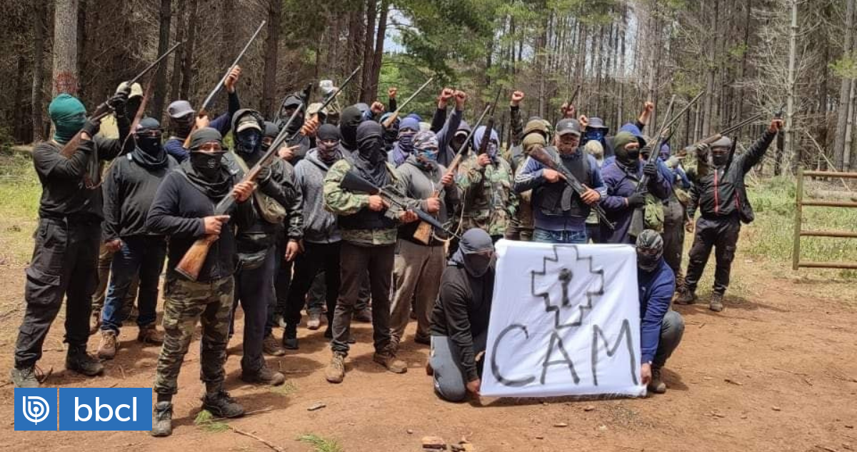 Piden a Gobierno apoyar declarar inconstitucional a la CAM