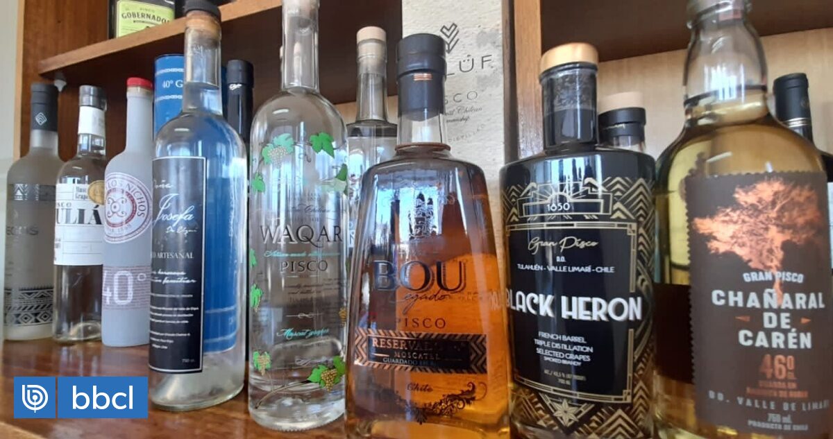 Buscan internacionalizar el pisco chileno: "Le pone valor al origen y ...