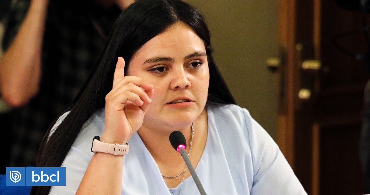 Diputada Concha y acusación al ministro Ávila: "Hay vulneración al ...
