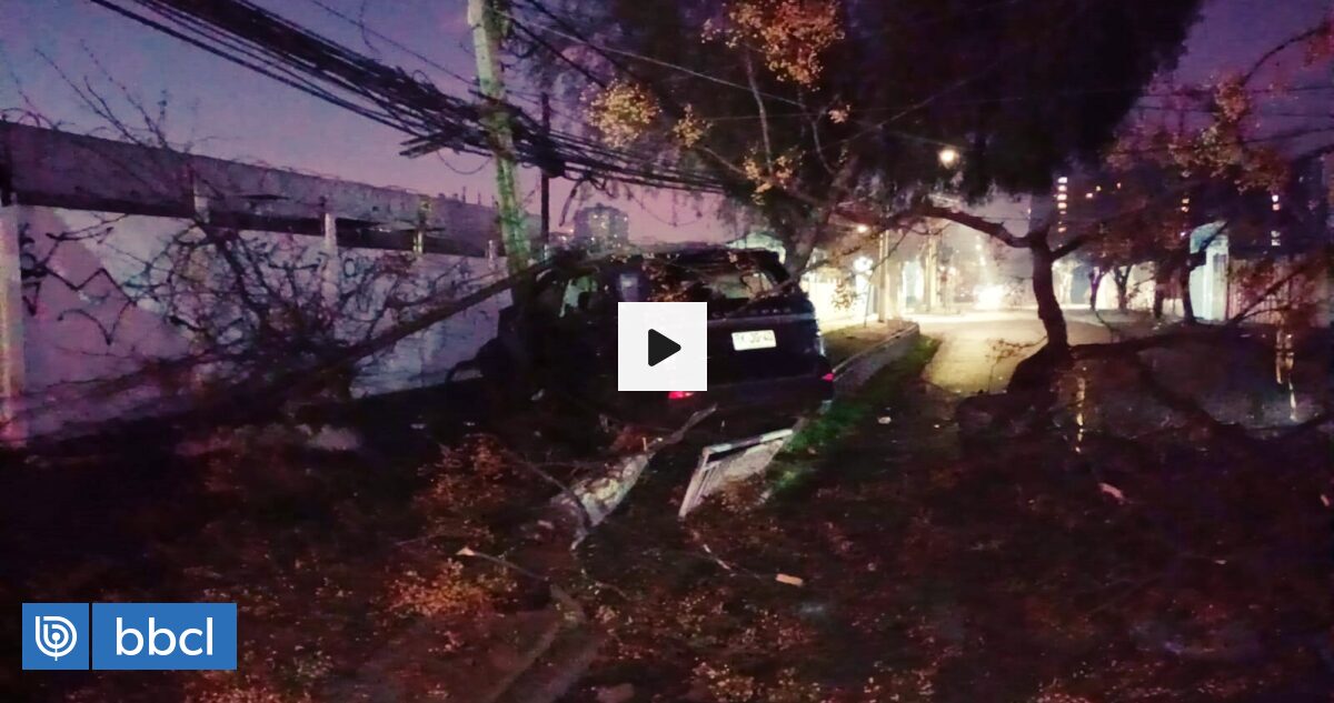 Conductor ebrio arrasó con árbol, poste y un paradero en Quinta Normal ...