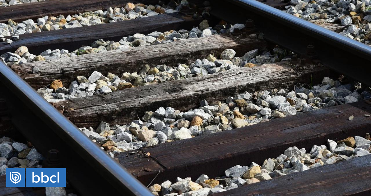 Niña de 11 años muere tras ser impactada por un tren en Rengo: fue a ...