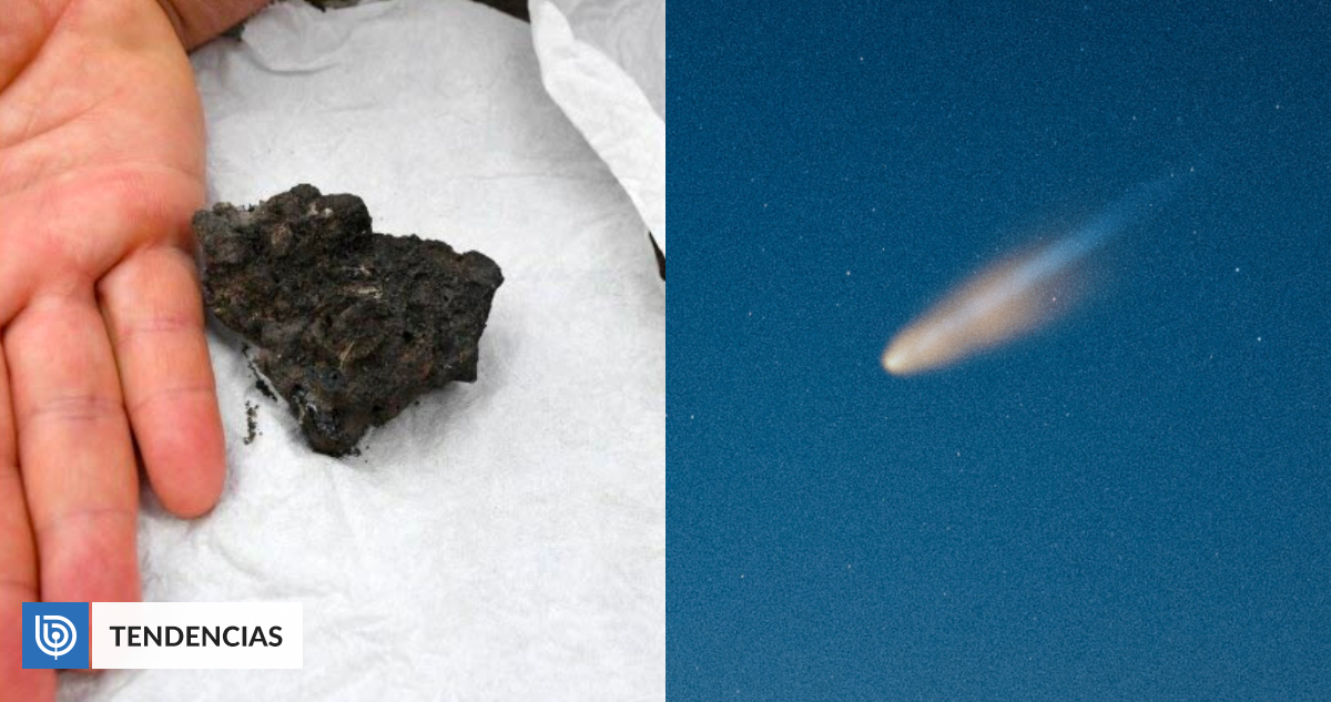 Una Mujer En Francia Fue Golpeada Por Un Meteorito Mientras Tomaba Café