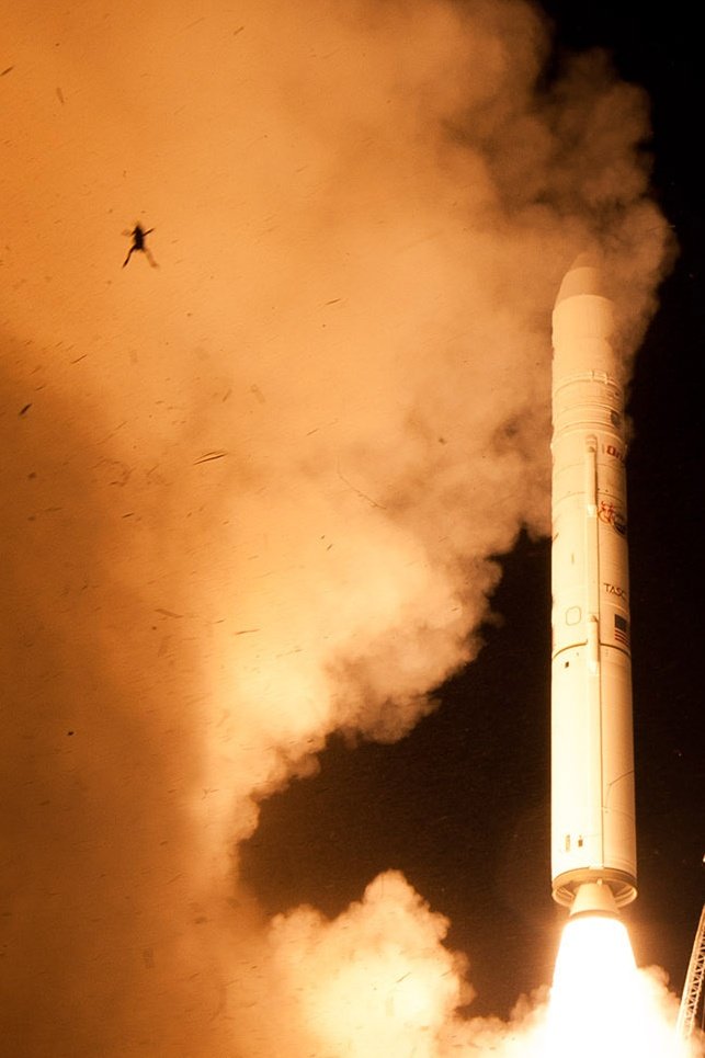 Se cumplen 10 años desde el inaudito caso de la "rana voladora" de la ...