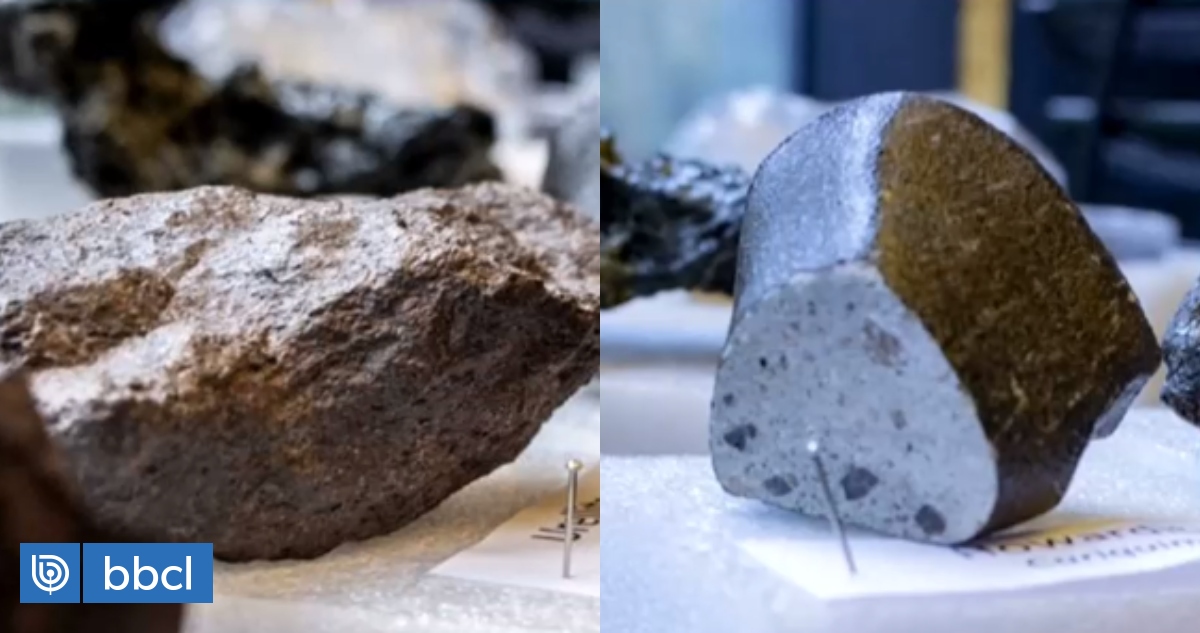 Astrónoma por primer catálogo de meteoritos en Chile: "Da un pie para ...