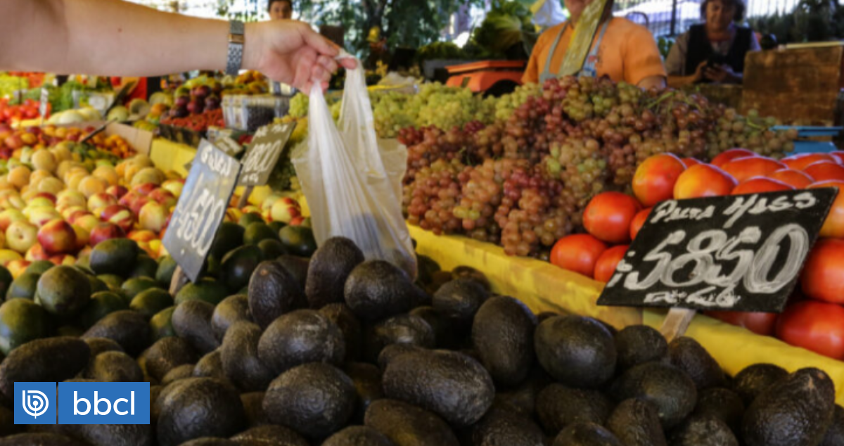 Start up de Chile crea alimentos saludables a partir de desechos ...