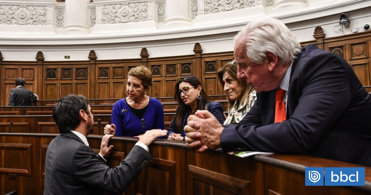 Pleno Del Consejo Constitucional Votará Propuesta Final Se Aprobaría